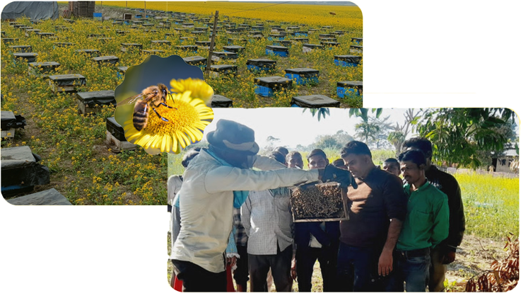 NECTAR - Project Proposal Submission & Management System